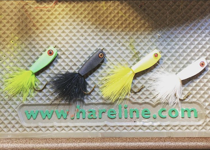 🎣 Unleash the Angler in You! 🌊 Learn Inshore Fly Tying for the Sunshine ...